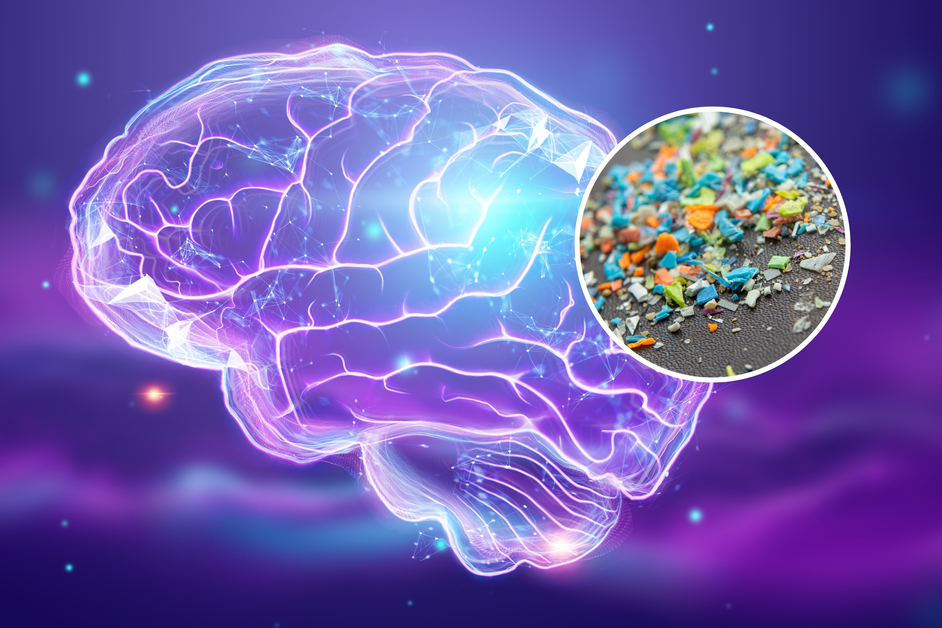 Microplastics in our Brains – Leaflets